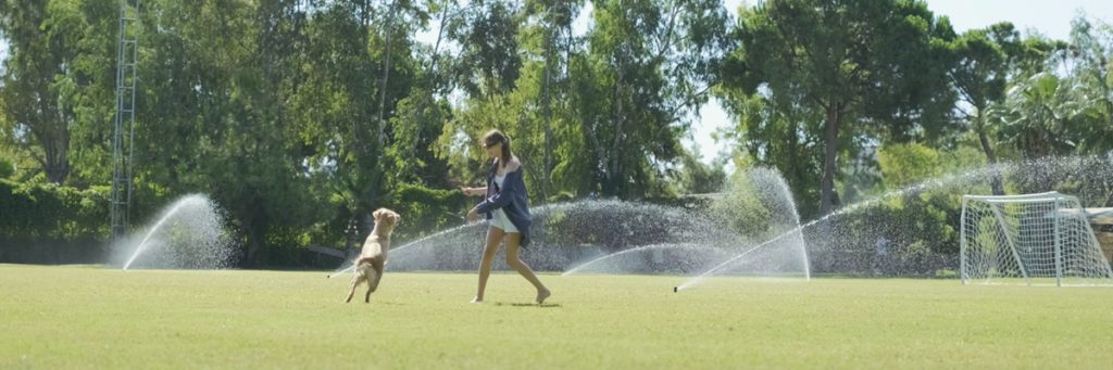 Welcome to The Sprinklerman - Your Premier Irrigation Solution in the ...